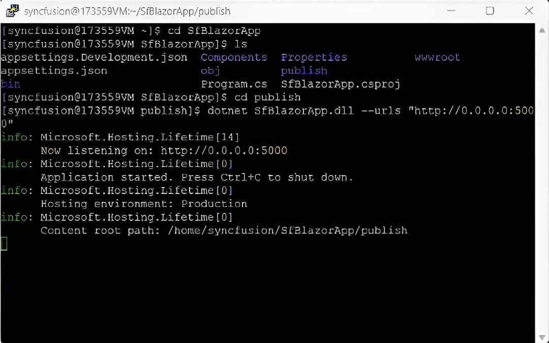 Deploy a Blazor Web App to Linux with NGINX | Syncfusion